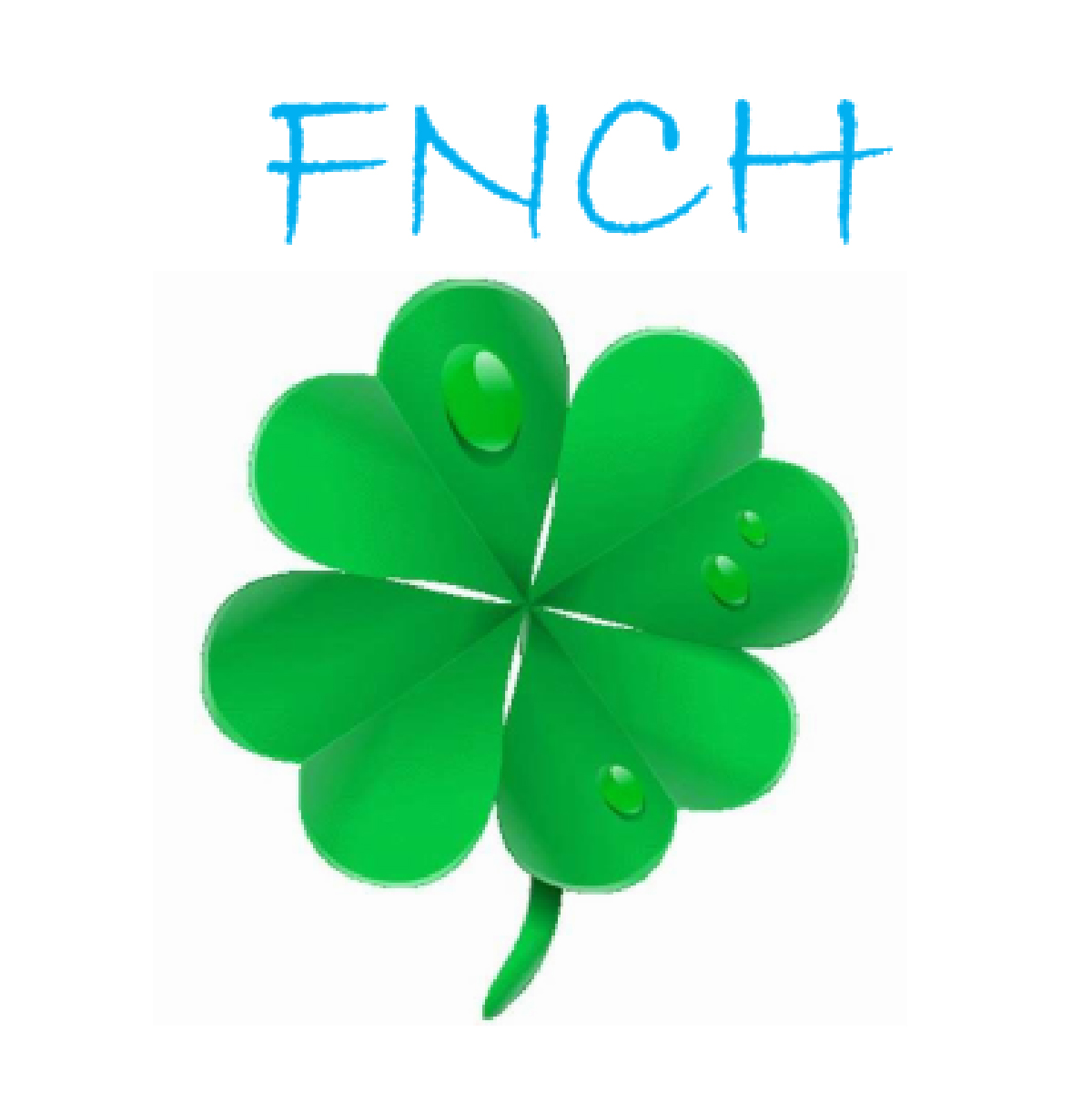 Entreprise de Nettoyage à Besançon (Doubs) | FNCH